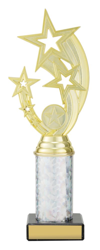 Gold Flying Star – Eagle Rise Sports