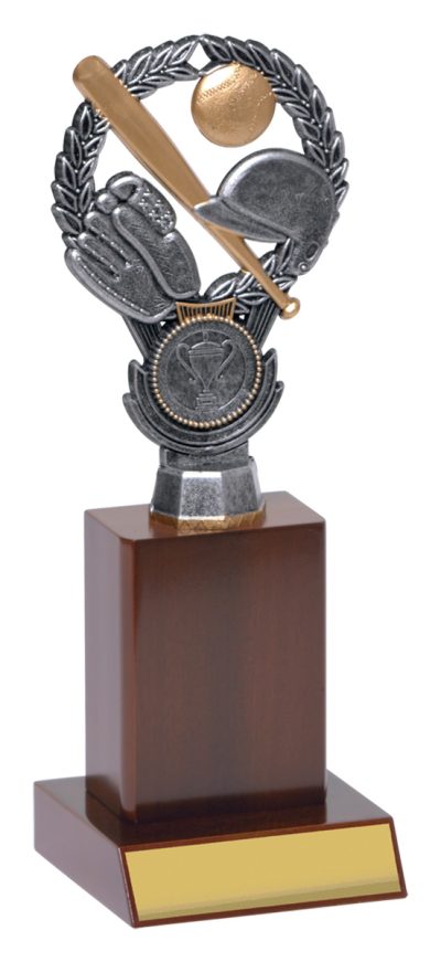 Baseball Column Series – Eagle Rise Sports