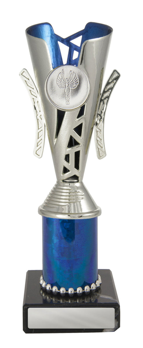 Festival Cup – Eagle Rise Sports